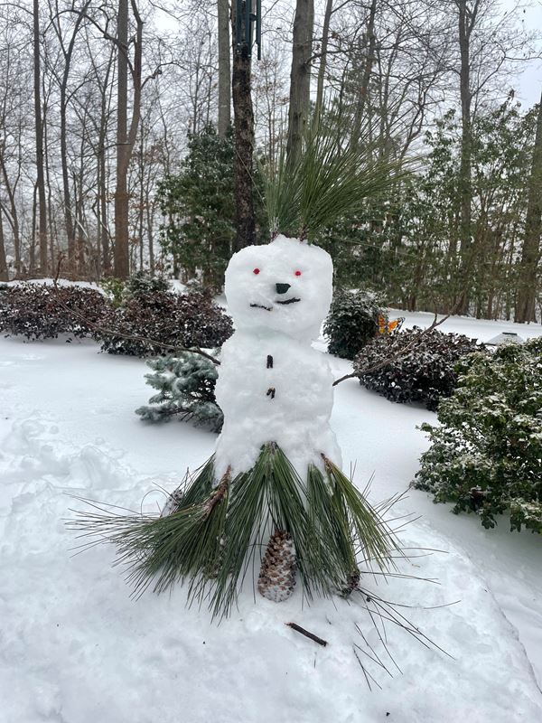 Hawaiian Snowman By Kelsey Gaylord - WCCB Charlotte's CW