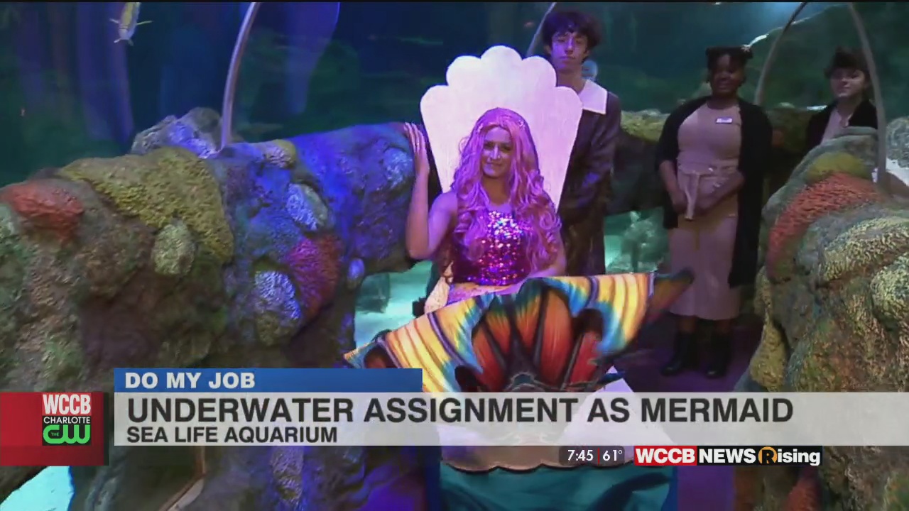 Do My Job: Mermaid - WCCB Charlotte's CW