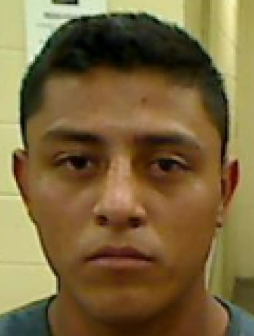 Picazo - WCCB Charlotte's CW