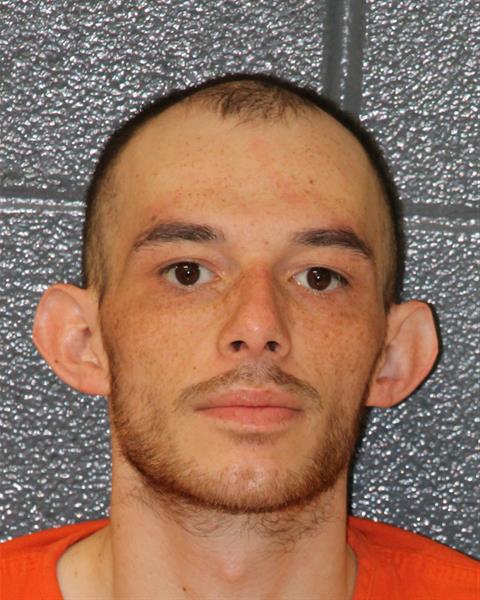 Gabriel Peele – Felony Larceny – Driving While License Revoked - WCCB ...