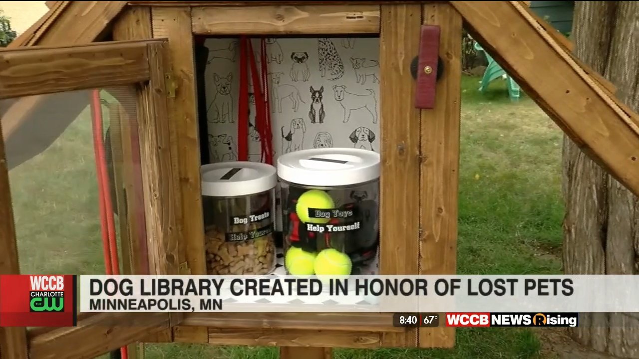 Dog Library Provides Items For Pets - WCCB Charlotte's CW