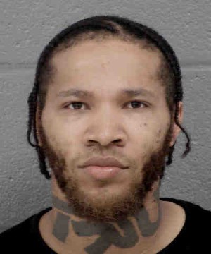 Jamario Young - Possession Of Firearm By Felon - Resisting Public ...