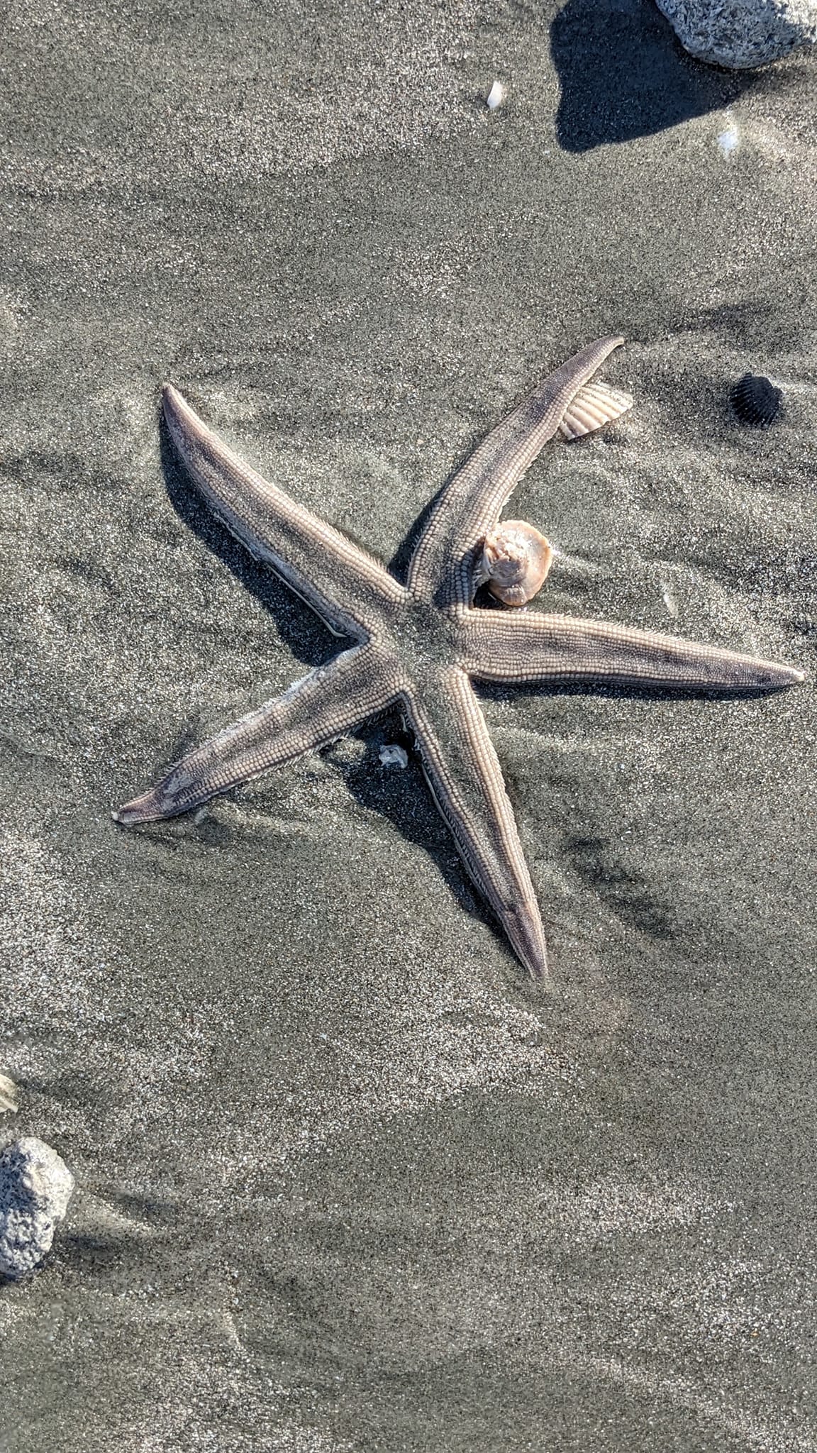 Photo by Tammy Renee Gordon - WCCB Charlotte's CW