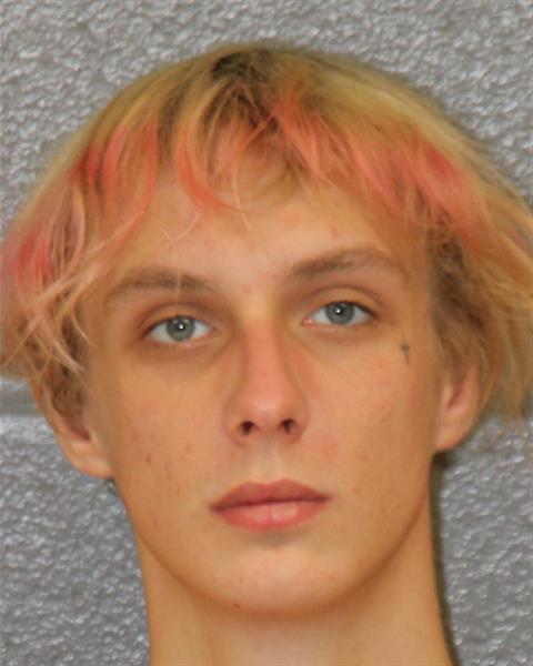 Ethan Ziner - Assault And Battery - Larceny - Disorderly Conduct At ...