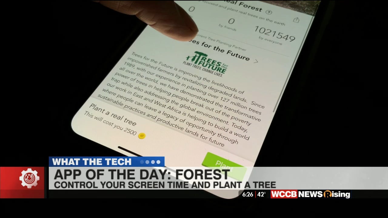 What The Tech: App Of The Day, Forest - WCCB Charlotte