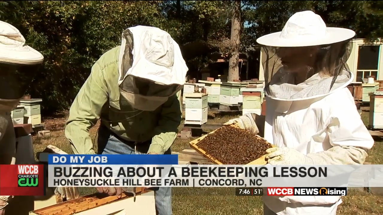 Do My Job: Beekeeper - WCCB Charlotte's CW