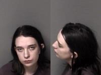 Emilee Kelly - Hit/Run Leave Scene Property Damage - Child Abuse - DWI ...
