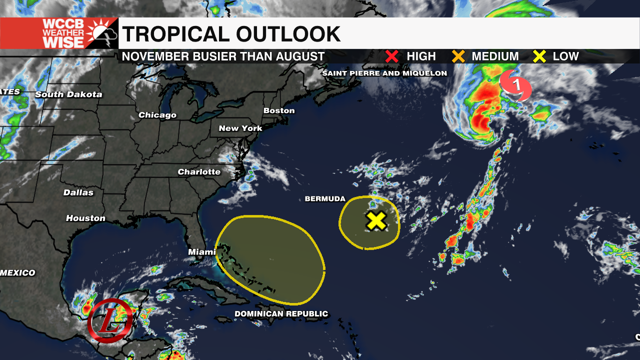 The Tropics Look More Like August This November - WCCB Charlotte