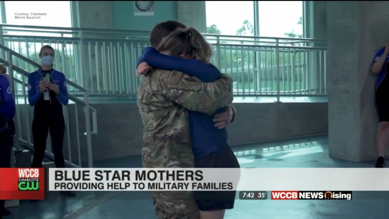 Rachael Maurer - WCCB Charlotte's CW