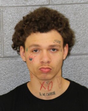 Reginald Harrison – Possesion Of Firearm By Felon – Carrying Concealed ...