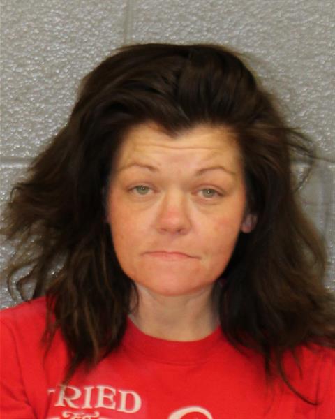 Marsha Cook - Possession Meth - Driving While License Revoked - WCCB ...