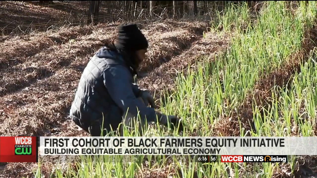 Black Farmers Equity Initiative to increase access for farmers - WCCB ...