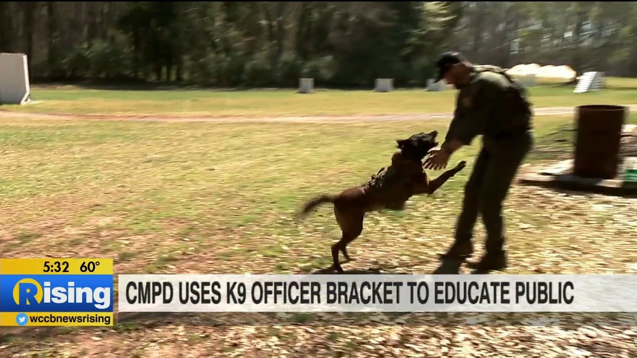 CMPD's "Officer Good Boi" Bracket, Vote for Your Favorite K9 on Twitter ...