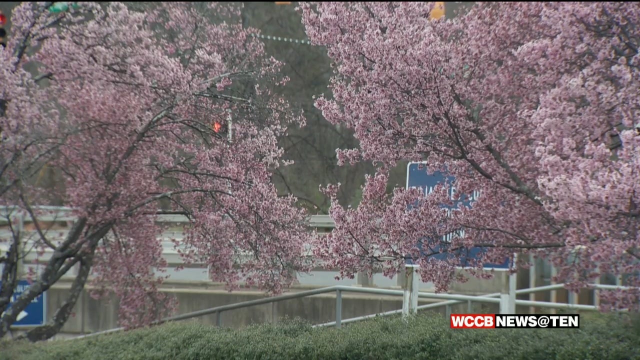 Your 2023 Spring Outlook - WCCB Charlotte's CW
