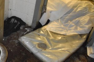 Inmate-eaten-by-bed-bugs - WCCB Charlotte