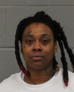 Angel Johnson – Misdemeanor Larceny – Resisiting Public Officer ...