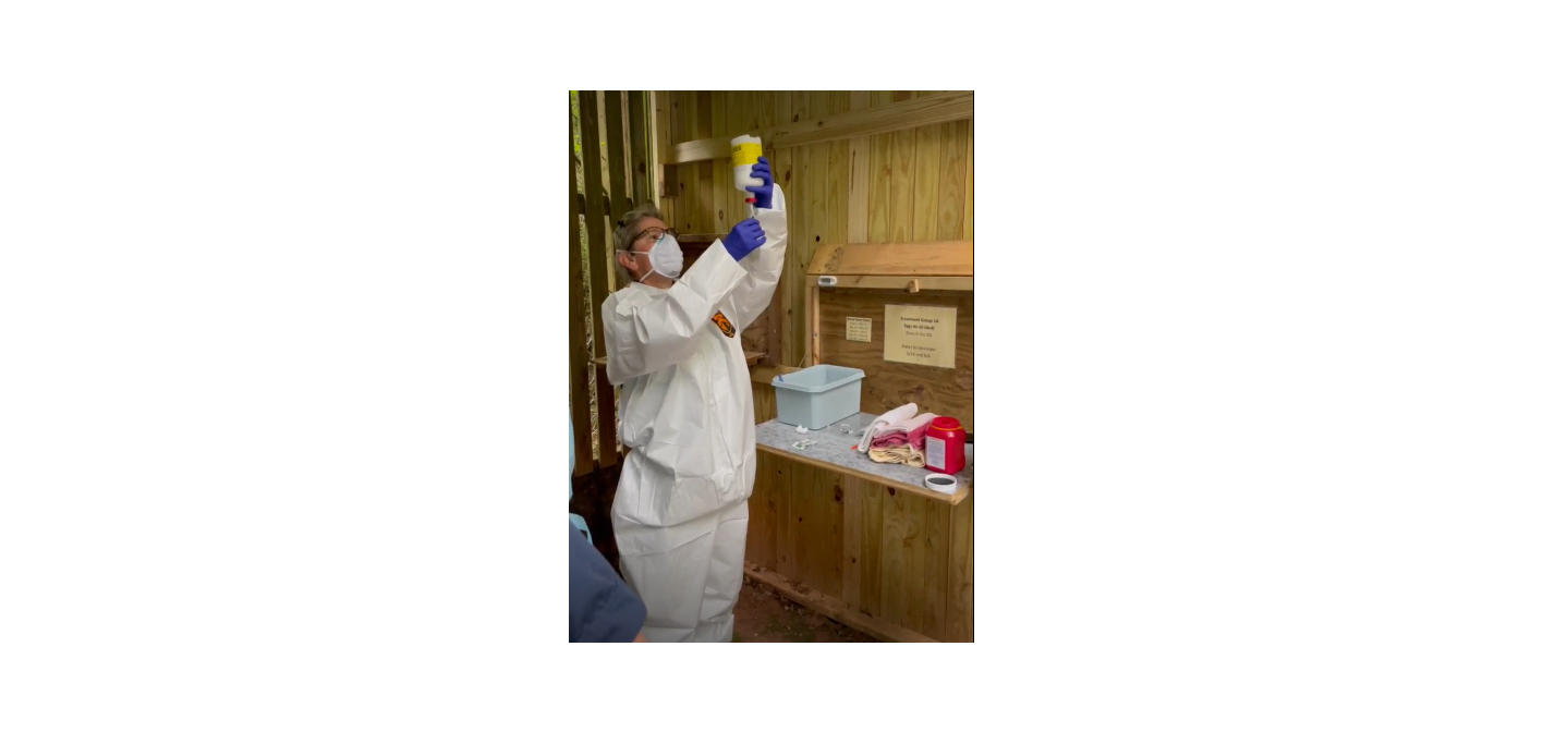 1 US Fish and Wildlife Service Wildlife Veterinarian Dr. Samantha Gibbs ...
