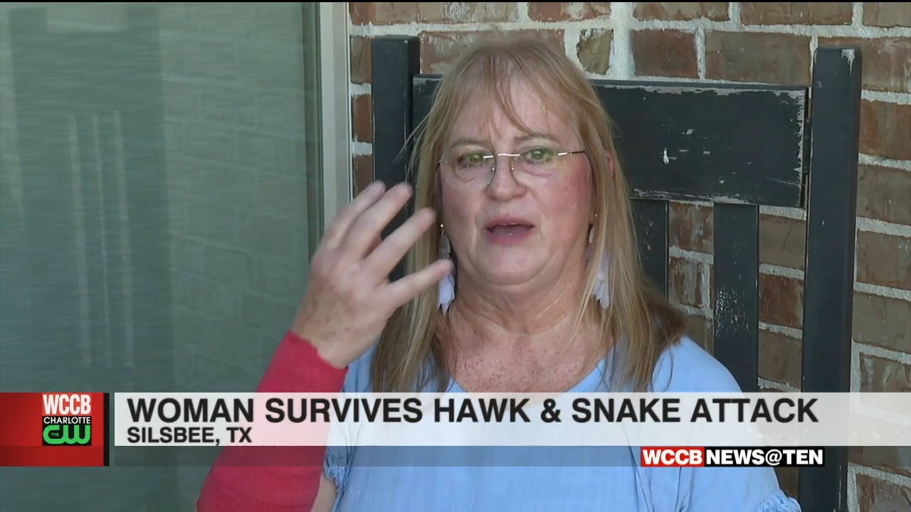 Woman Survives Hawk And Snake Attack - WCCB Charlotte