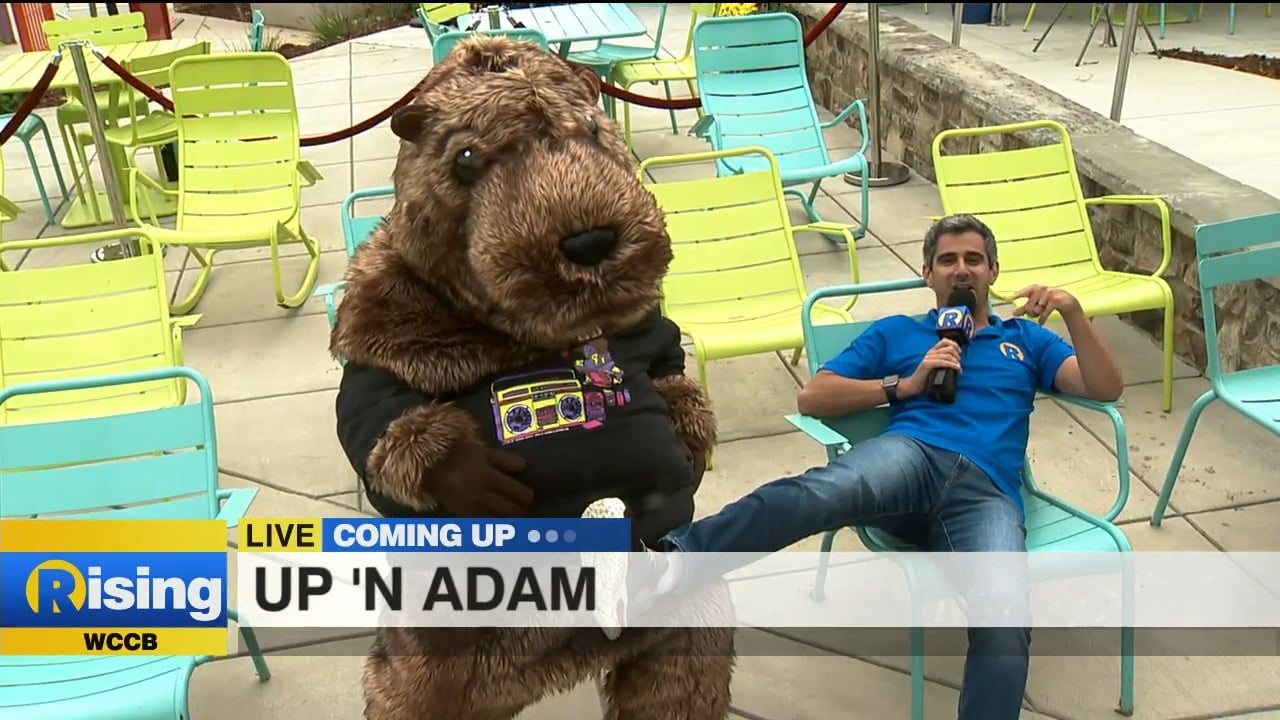 Up 'n Adam: Morganton Festival - WCCB Charlotte