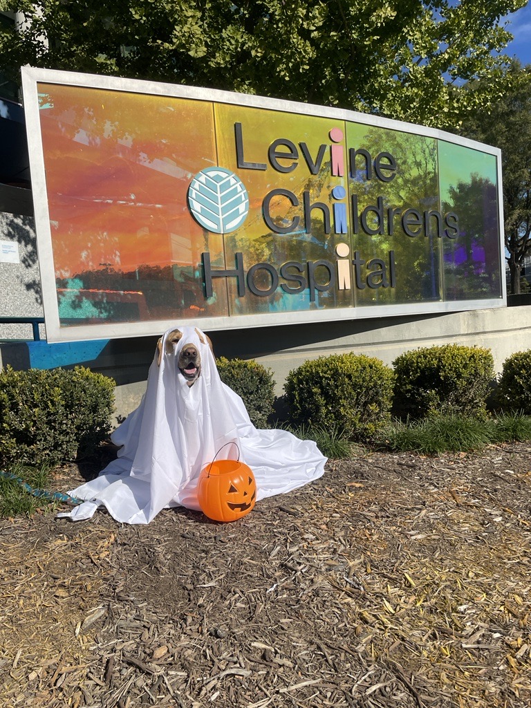 Sprout the ghost - WCCB Charlotte