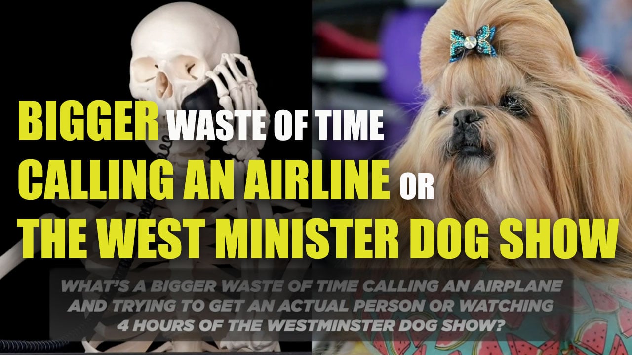 Calling An Airline Or Watching The West Minister Dog Show? - WCCB ...