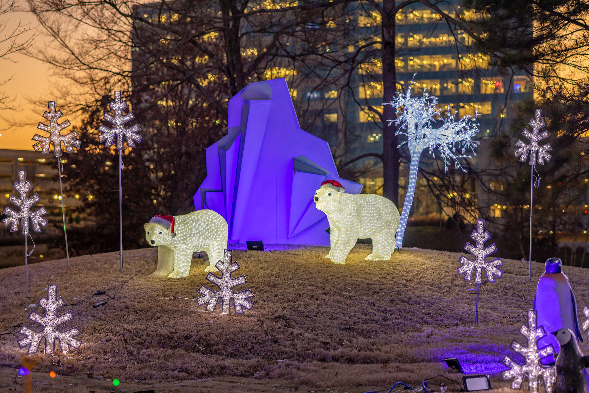 Ballantyne’s Backyard To Host An Enchanting Holiday Extravaganza - WCCB ...