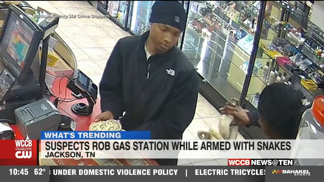 Suspects rob gas station while armed with snakes - WCCB Charlotte