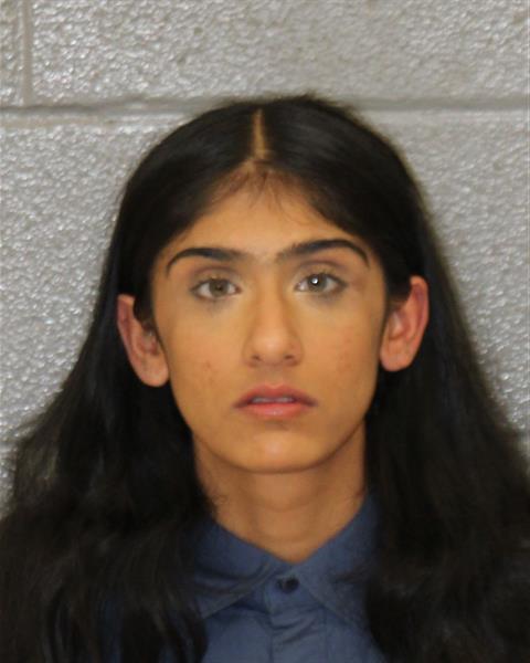 Khadeeja Butt – Assault By Strangulation – Simple Assault – Misdemeanor ...