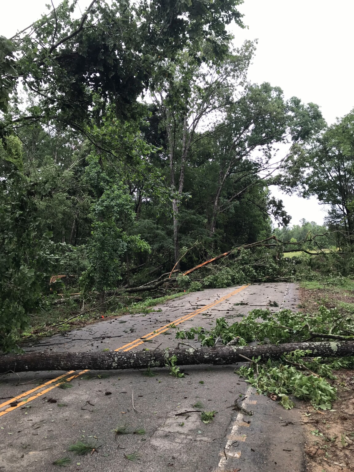 National Weather Service confirms EF-1 tornado near Columbia, SC - WCCB Charlotte's CW