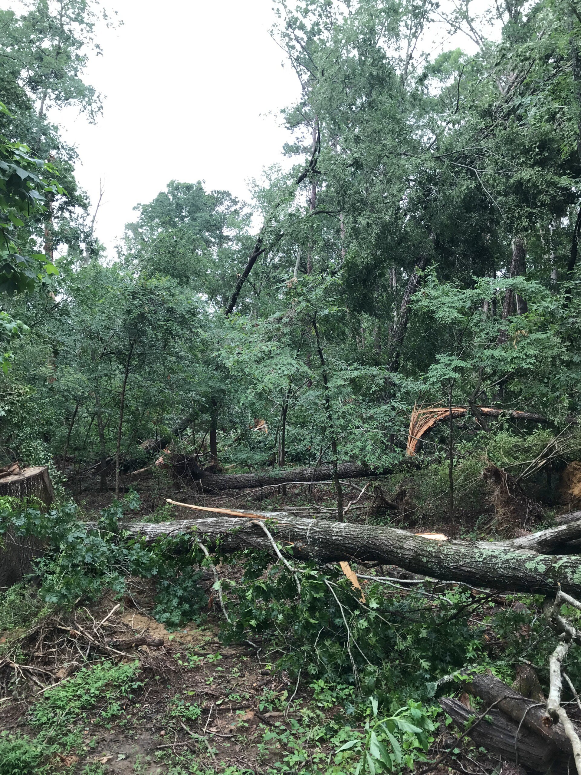 National Weather Service confirms EF-1 tornado near Columbia, SC - WCCB Charlotte's CW