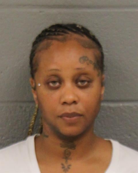 Tracey Brown – Assault With Deadly Weapon Intent To Kill, Inflict ...