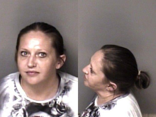 Emily Jenkins – Possess Methamphetamine – Possess Drug Paraphernalia ...