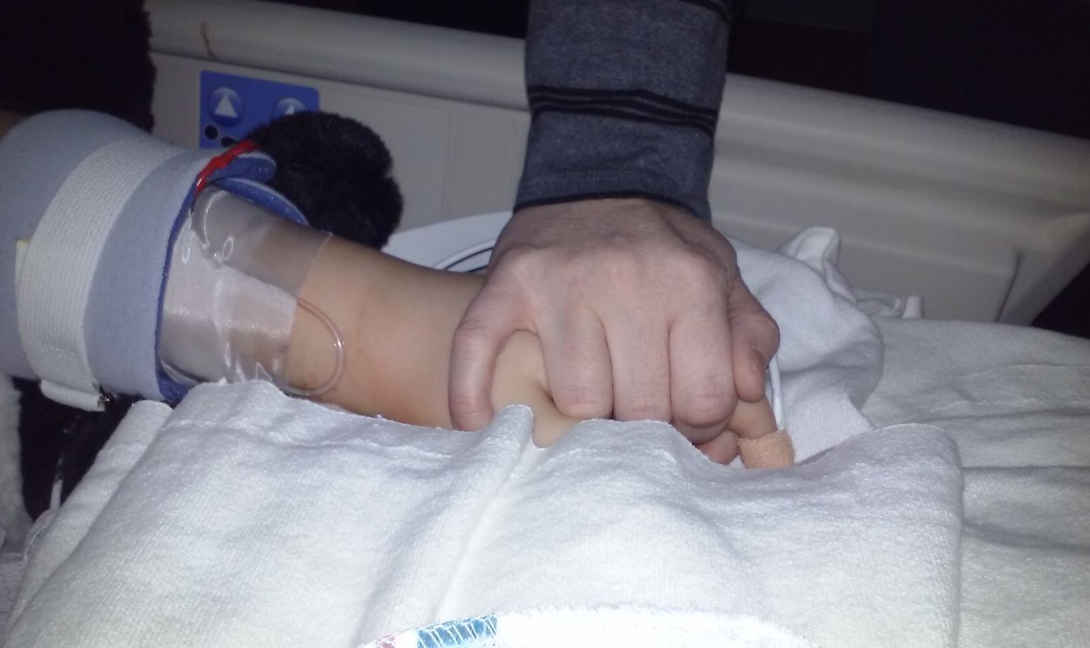 Local boy scout critically hurt by tree - WDEF