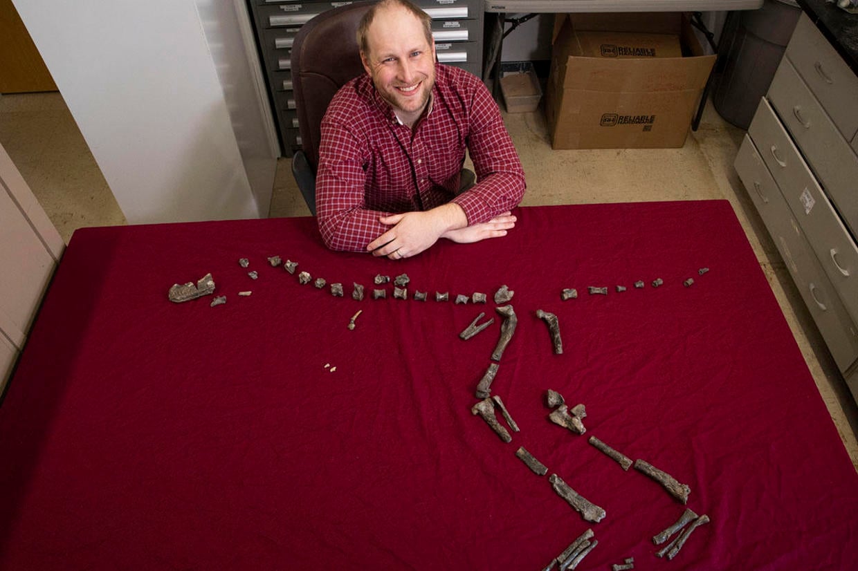 Tiny T. rex cousin identified 21 years after fossil discovery - WDEF