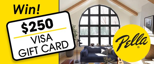 $250 Visa Gift Card