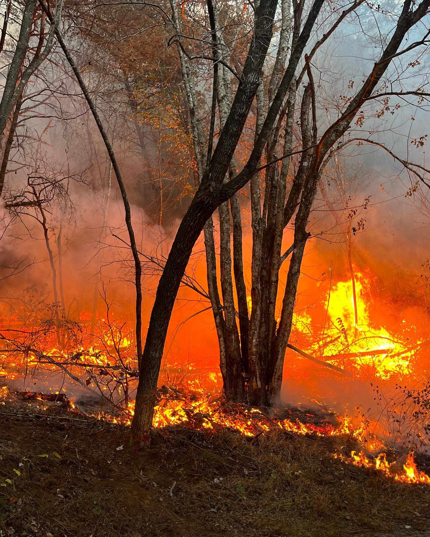 Wildfire burning 200 acres in Polk County - WDEF