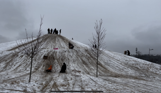 Tennessee Valley enjoys MLK snow day - WDEF