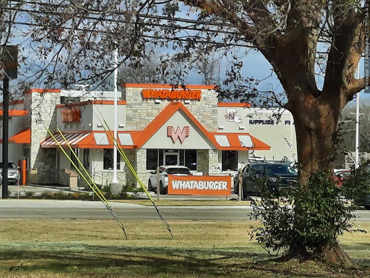 Whataburger announces new locations for Tennessee and Alabama - WDEF