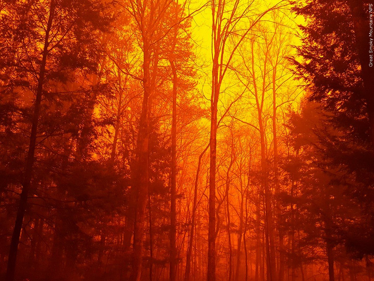 Burning permits will soon be required in Tennessee as fall wildfire ...