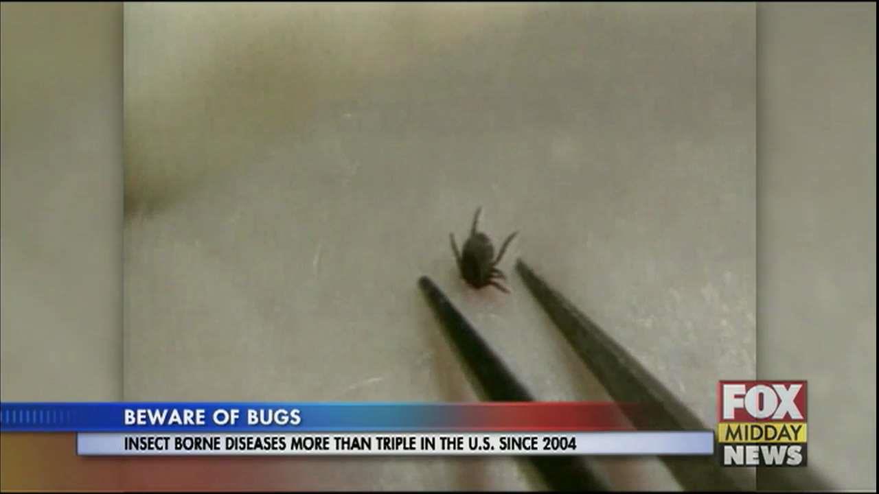 Insect Borne Diseases Have Tripled - WFXB