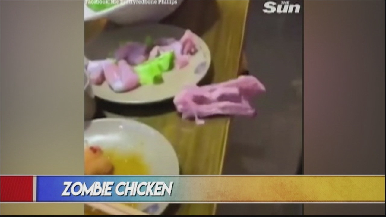 Zombie Chicken - WFXB