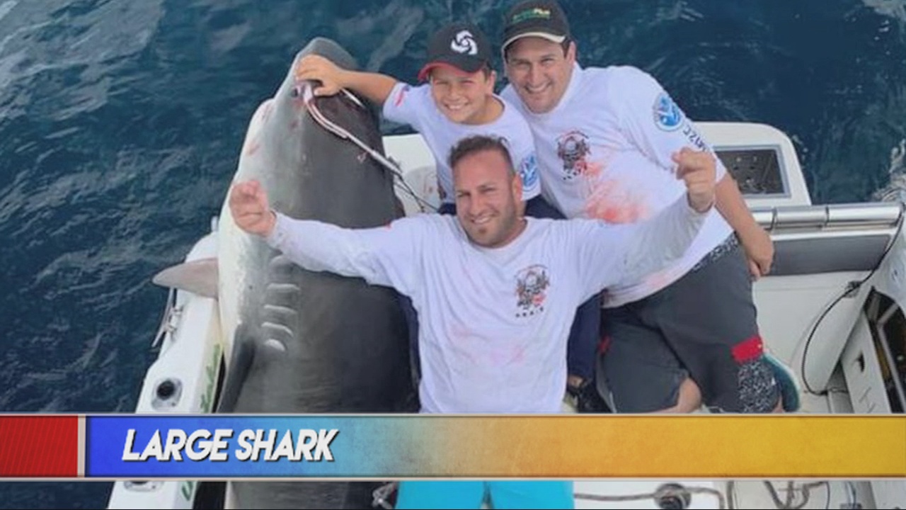 Record Breaking Shark - WFXB