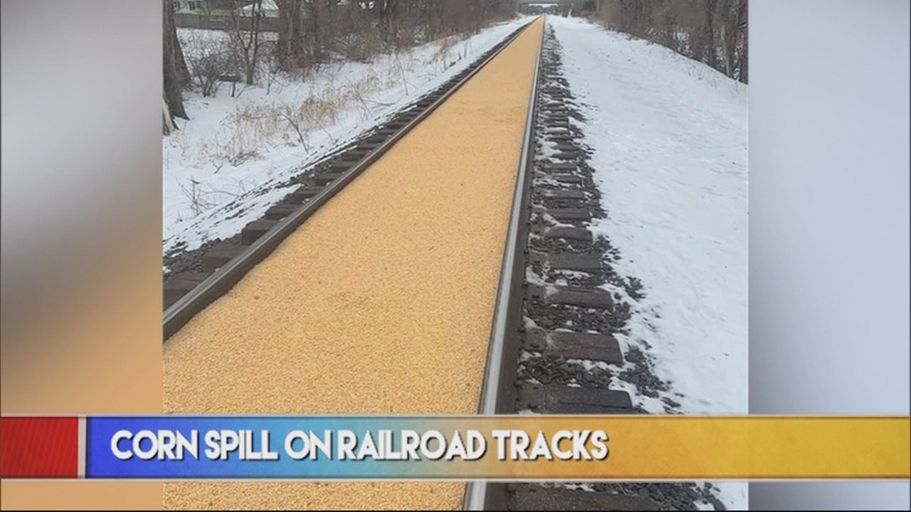 Corn Spill on Railroad Tracks - WFXB