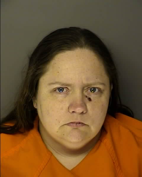 CRIBB, SUSAN MICHELLE - Driving Under Suspension - WFXB