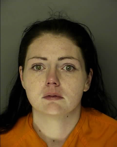 DRENNING, KELLY BREA - Shoplifting - Driving under Suspension - WFXB