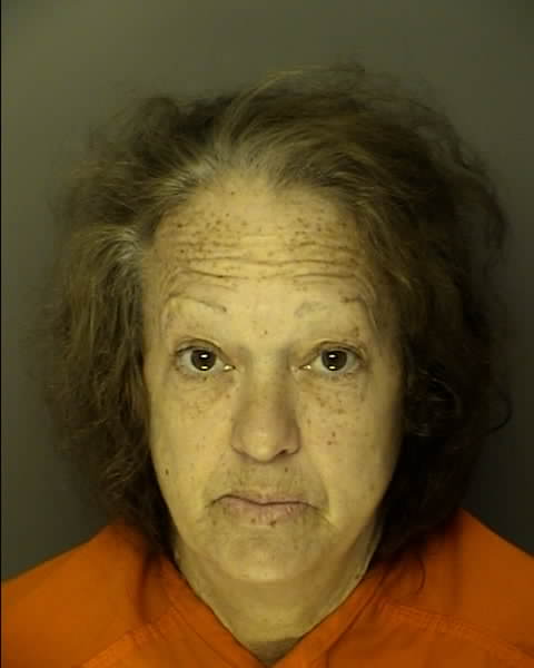 MCMANUS, ROBIN RENEE - Assault and Battery 3rd Degree - WFXB