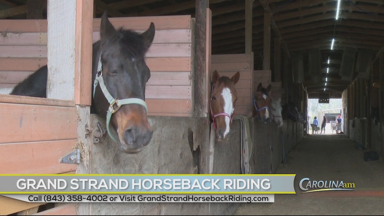 Greg Gets the Scoop on Grand Strand Horseback Riding - WFXB