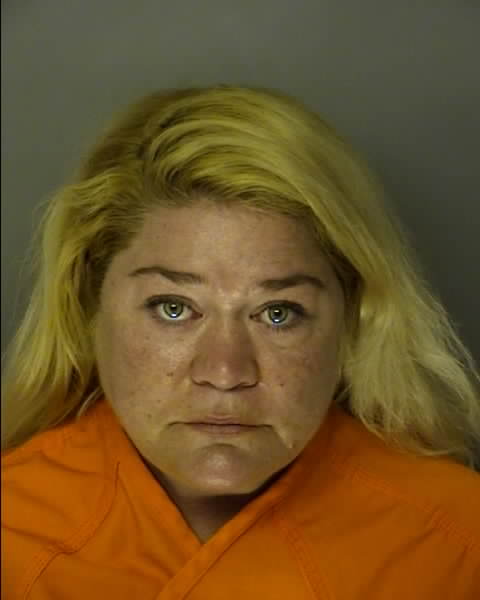 CARNES, JENNIFER CARTER - DUI - Driving Under Suspension - Open ...