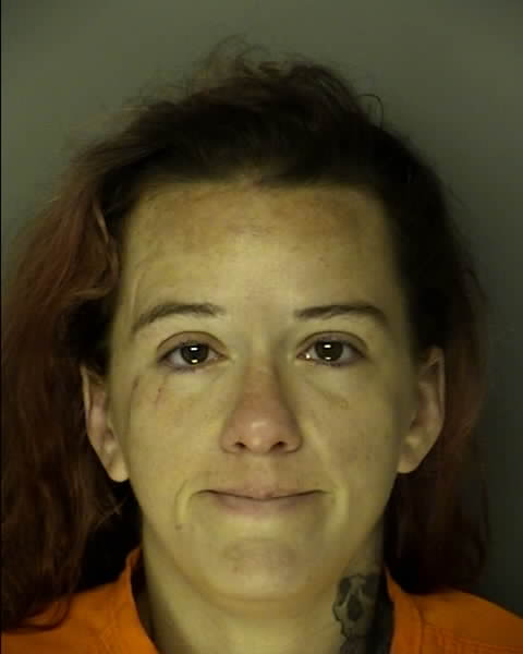 JACKSON, JESSICA HOPE - Domestic Violence 3rd Degree - WFXB