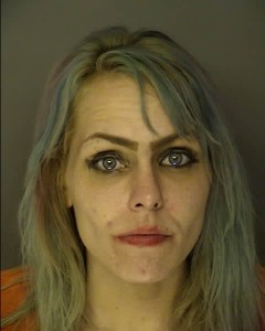 STROUPE, AMANDA BROOKE - Fiving False INfo to Law Enforcement ...